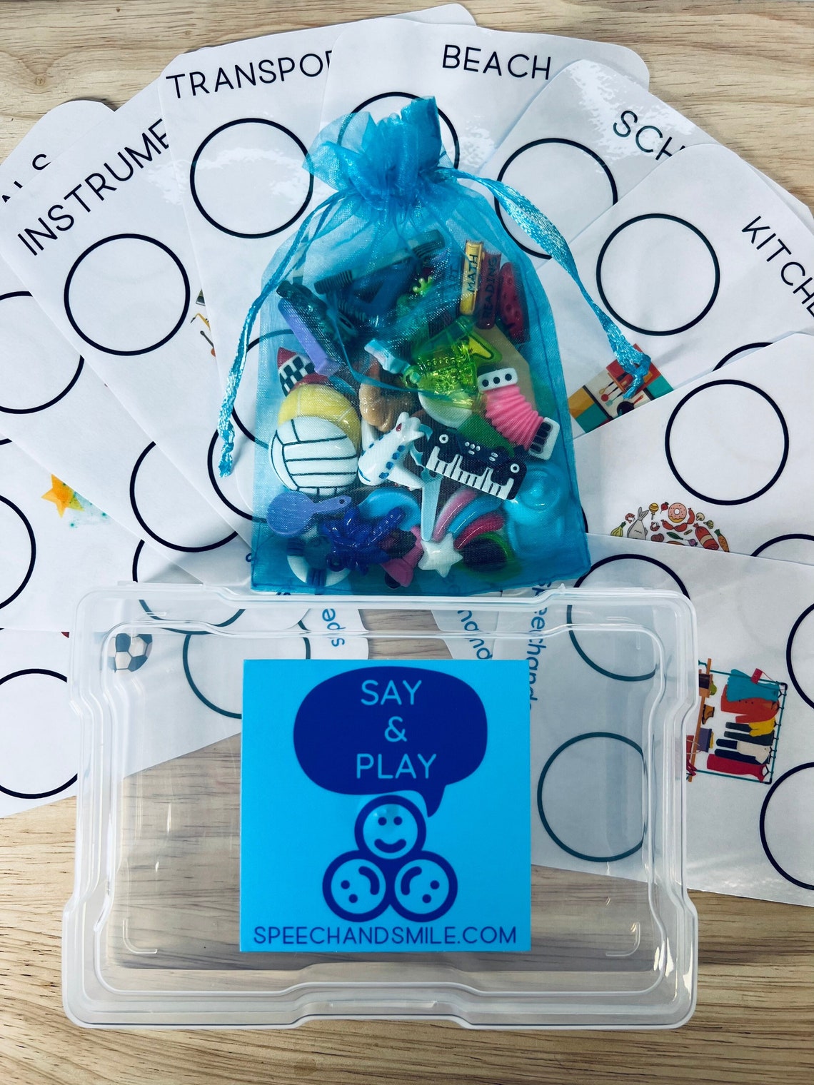 Sorting Task Box With Mini Objects-speech Therapy Activity - Etsy