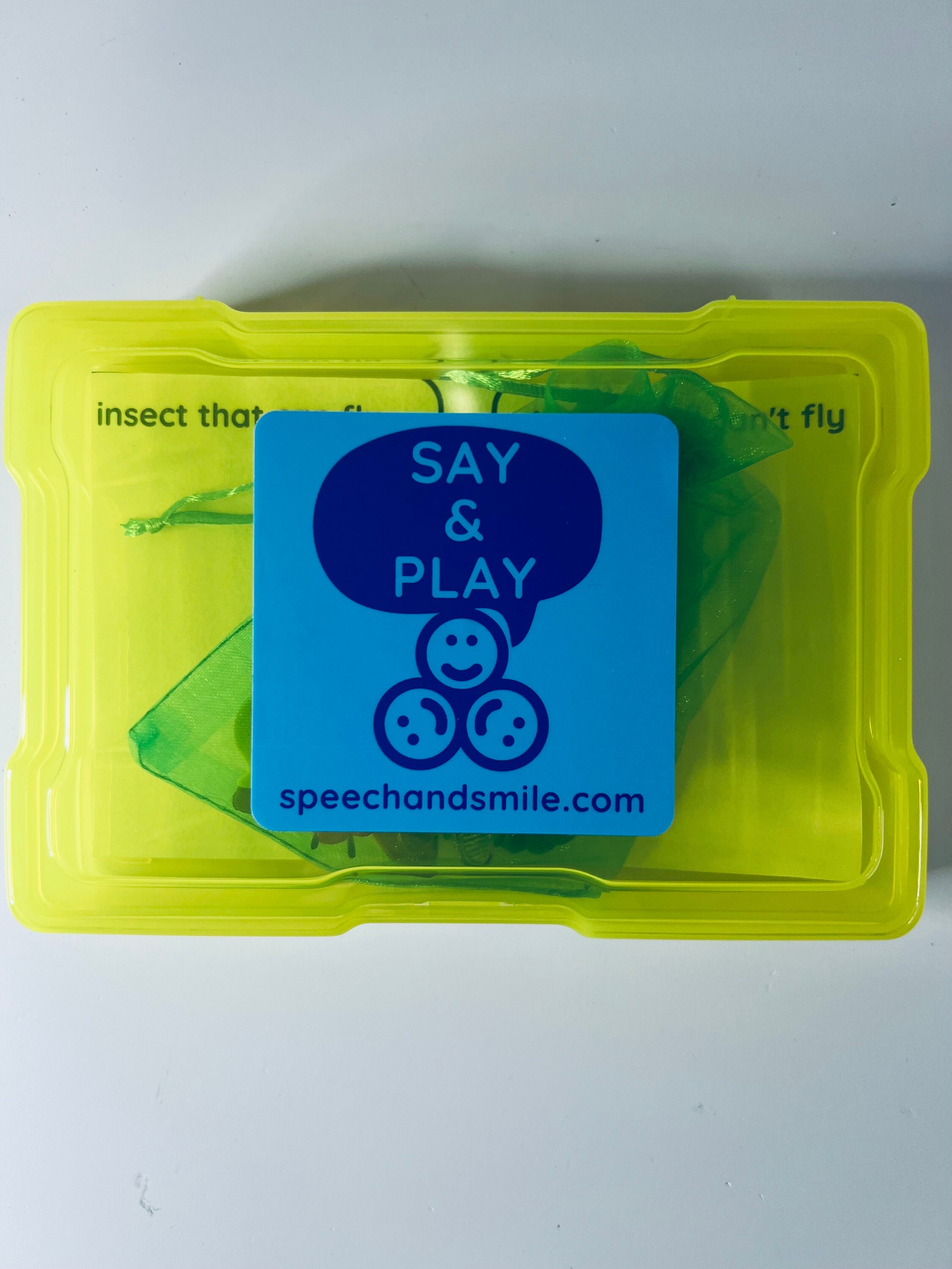 Bug Sorting Speech Therapy Task Box Sorting Insect Objects Spring ...