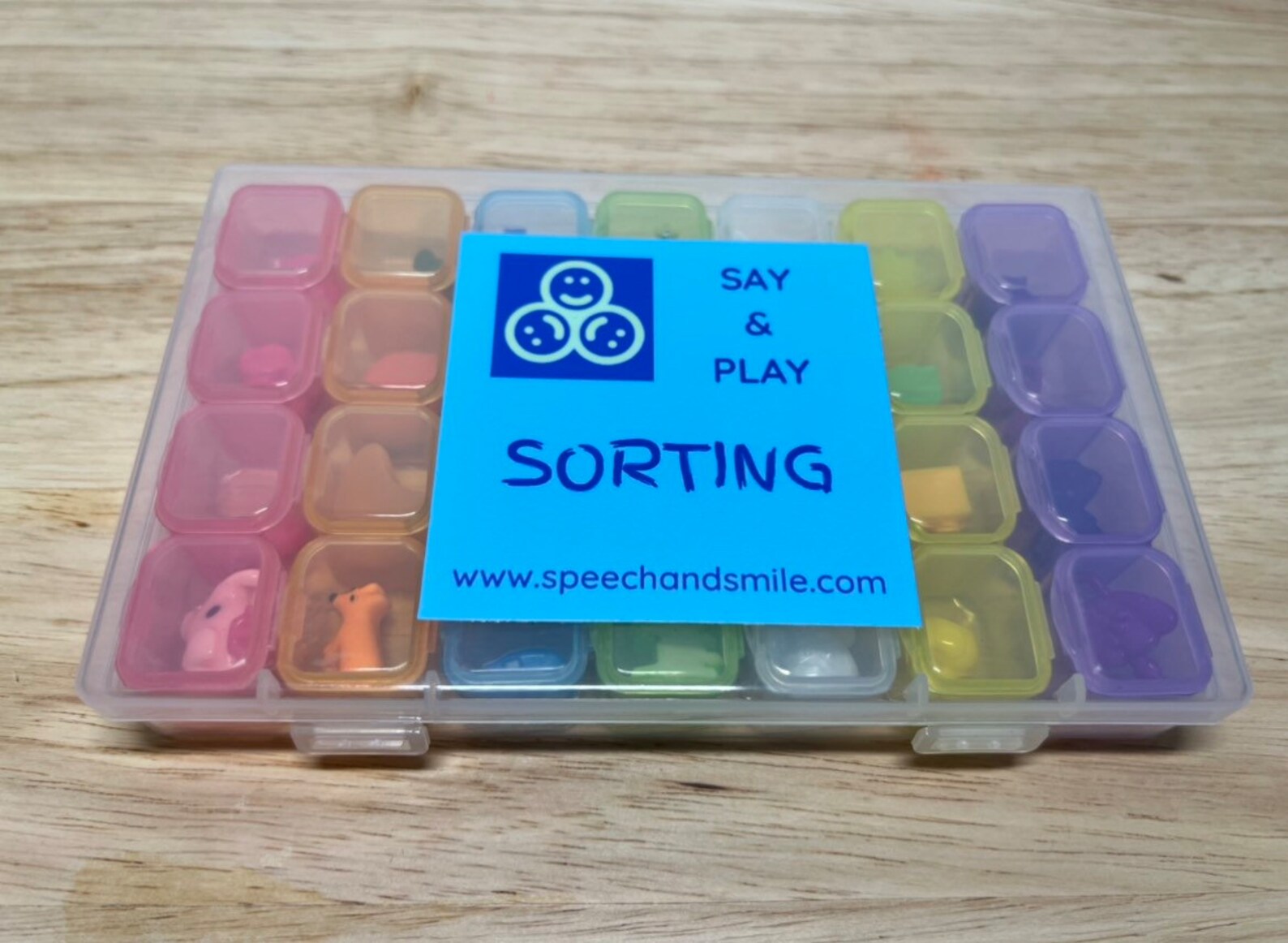 Color Sorting Objects in Case Sorting Activity-rainbow - Etsy