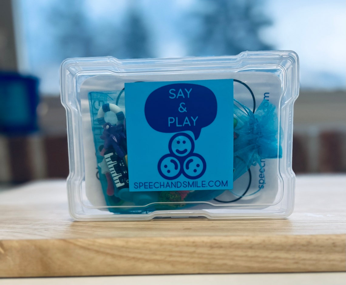 Sorting Task Box With Mini Objects-speech Therapy Activity - Etsy