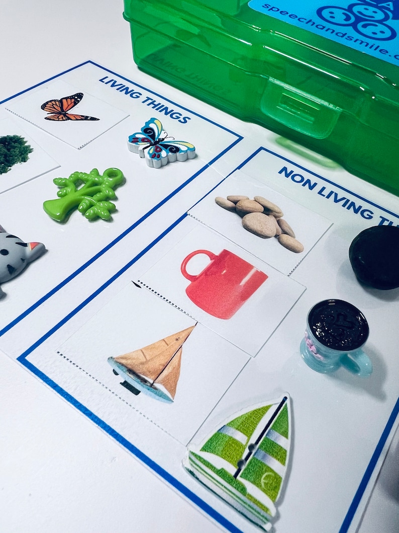 LIVING NONLIVING Preschool SCIENCE Task Box With Mini Objects - - Etsy