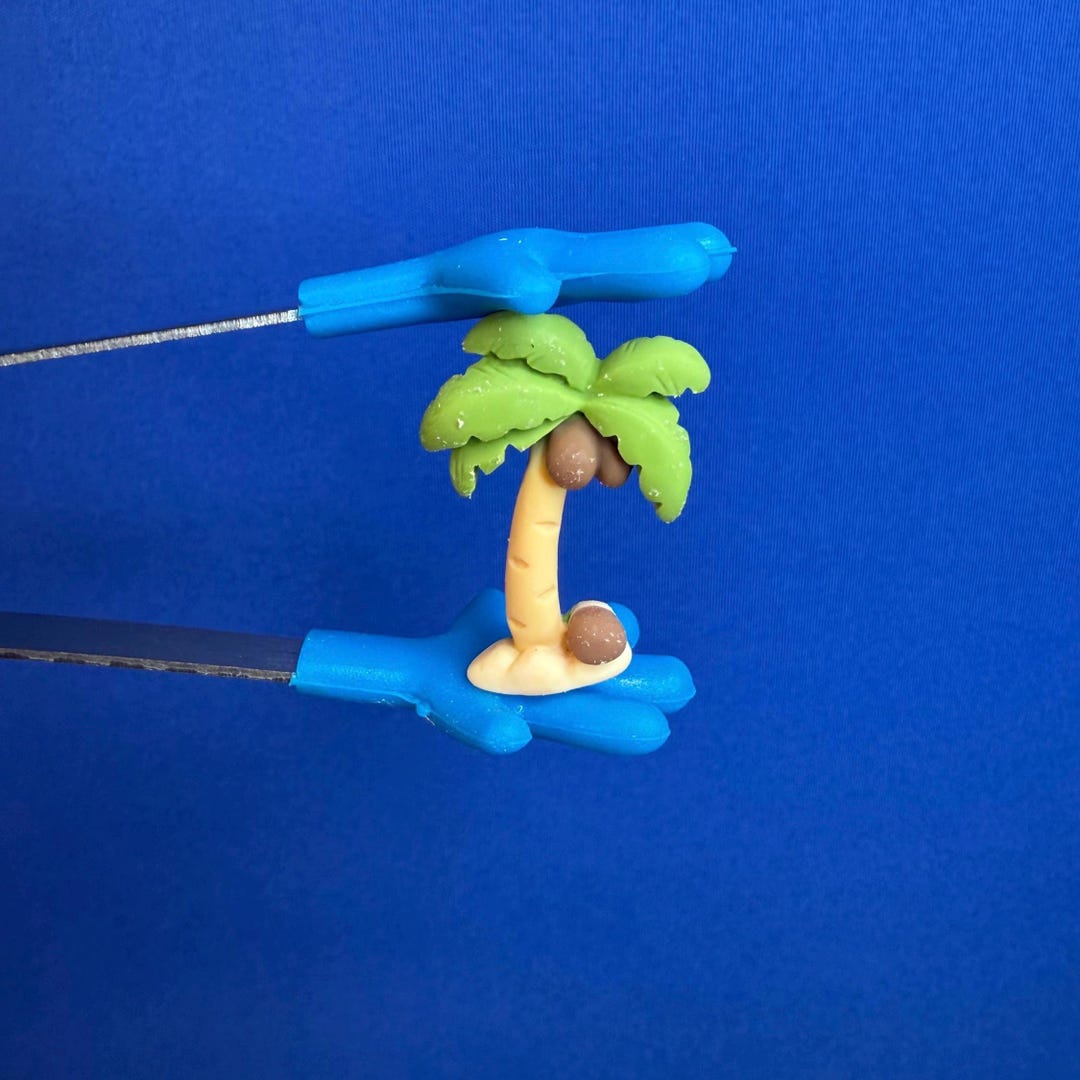 Miniature COCONUT Tree Chicka Chicka Boom Boom Tree - Palm Tree Trinket ...