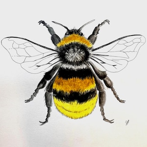 Bumble Bee Painting, Original Hand Painted Bumble Bee. Gift for Nature ...