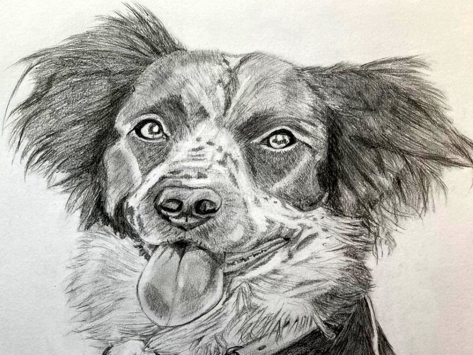 Hond tekening van foto hond schets van foto hond tekening | Etsy