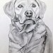 Custom Dog Drawing From Your Photo, Custom Dog Sketch From Your Photo ...