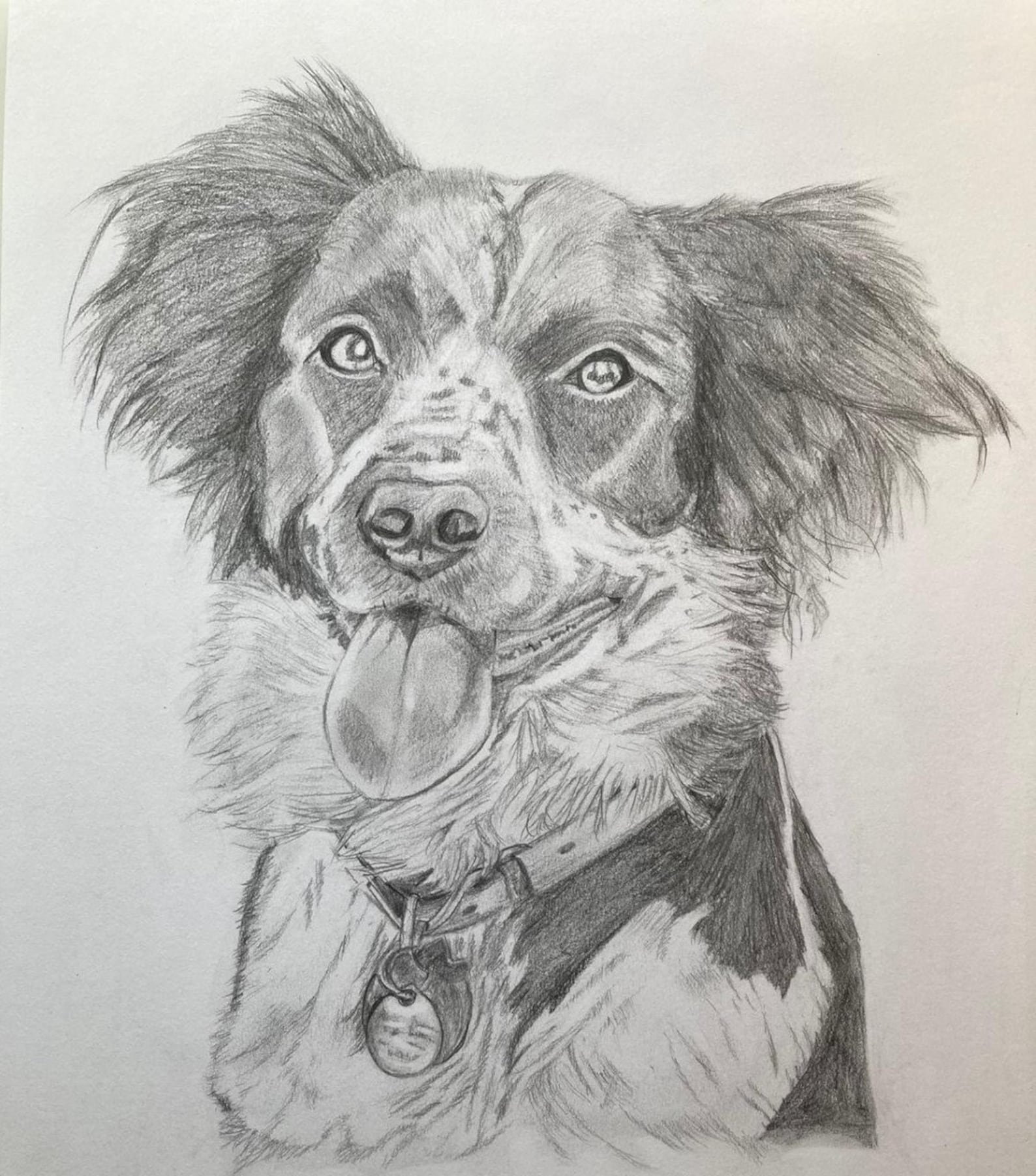 Custom Dog Drawing From Your Photo, Custom Dog Sketch From Your Photo ...