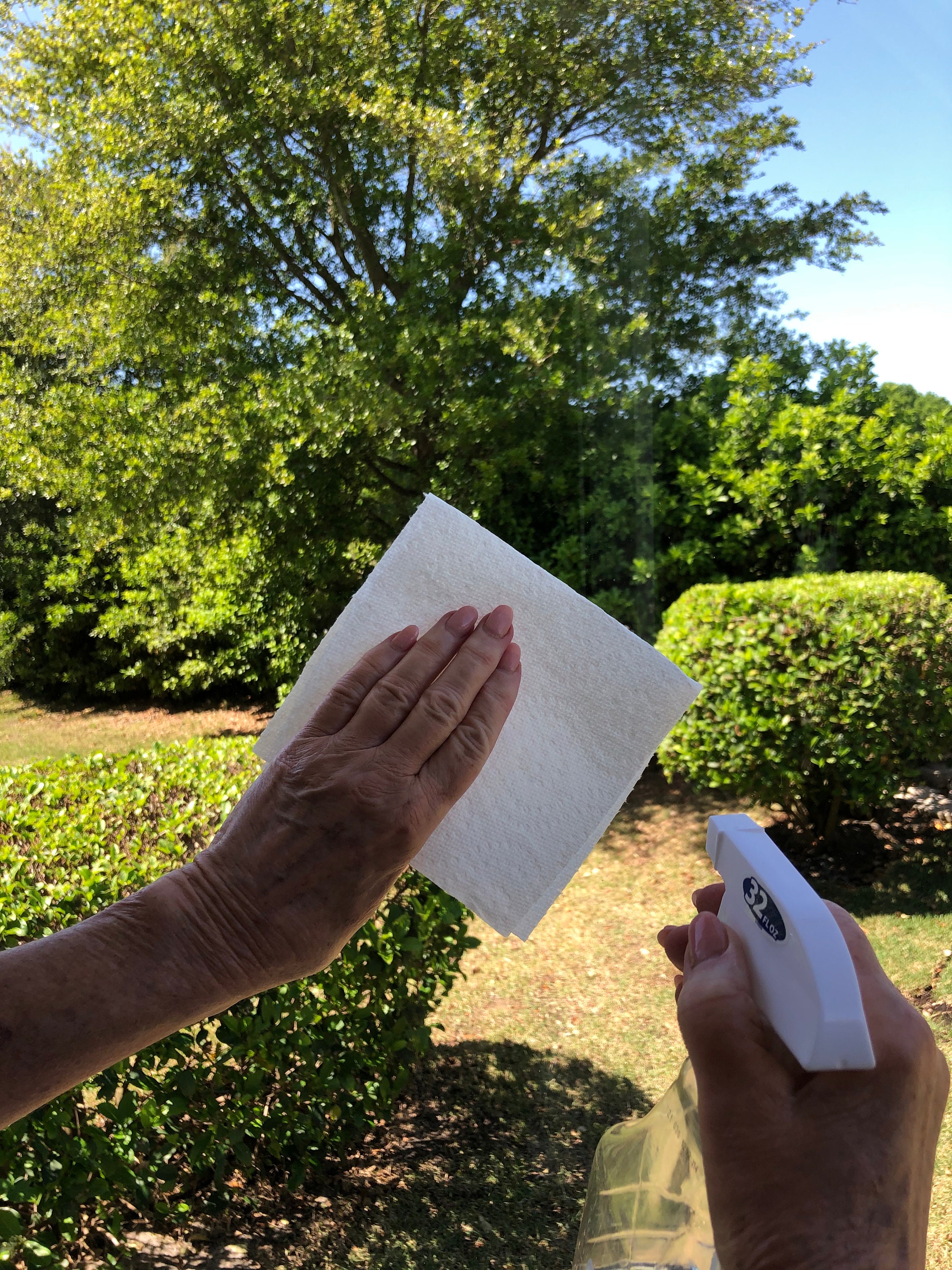 Heron Scene - Window Cling Vinyl “etched” Glass Decal – 8” X 12 ...