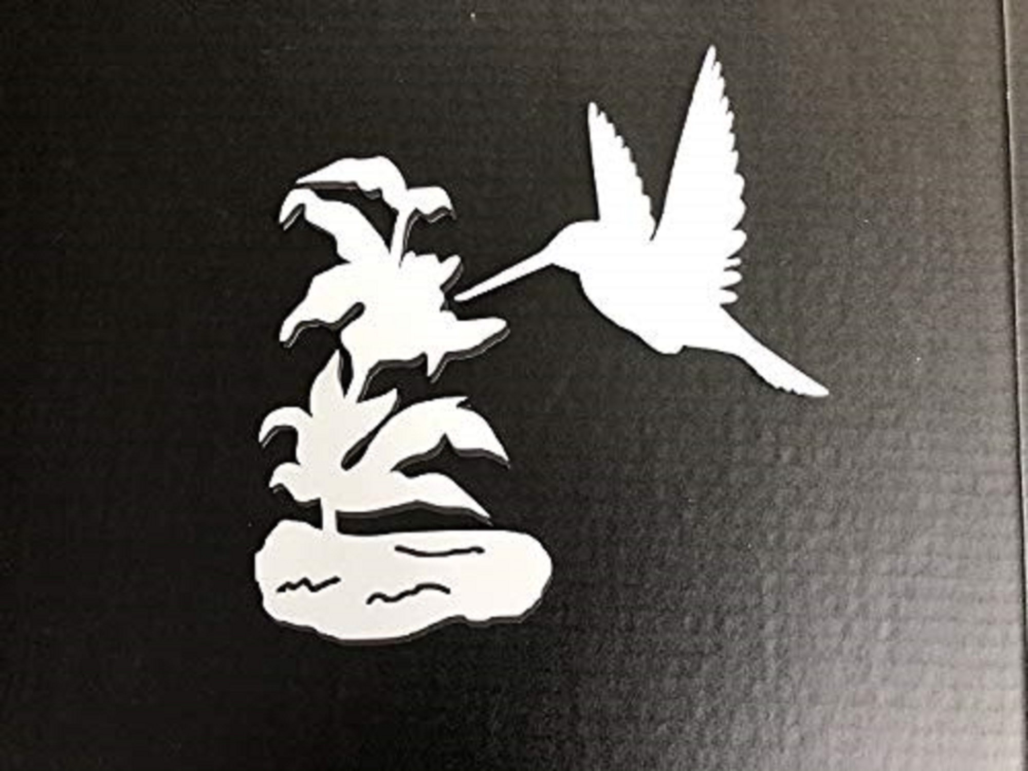 Hummingbird and Flowers Flexible Screen Magnet: Double-sided, for Non ...