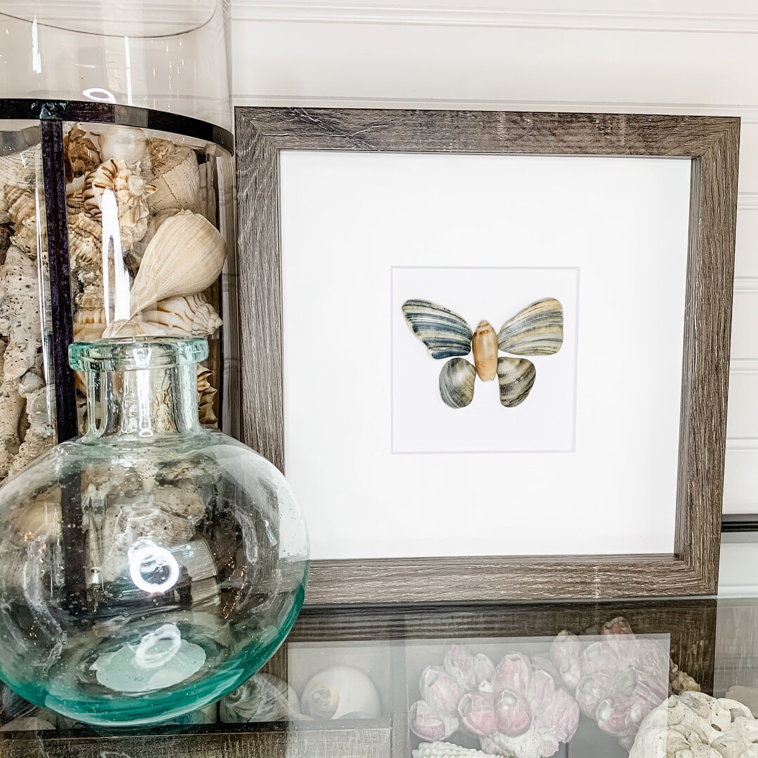 Ocean Tumbled Seashell Butterfly Coastal Art Decor - Etsy