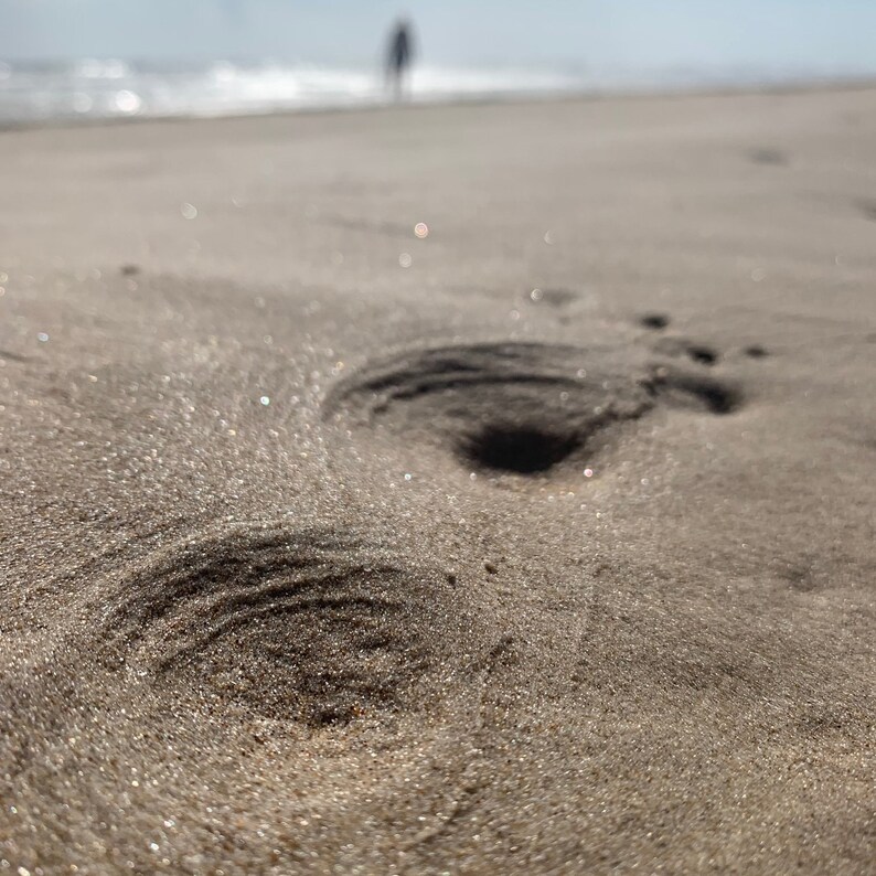 Ocean Tumbled Seashell Butterfly Coastal Art Decor - Etsy