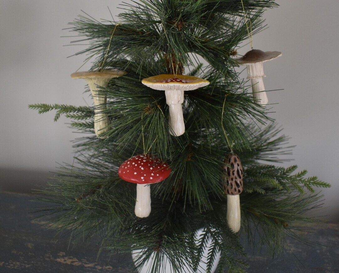 Ceramic Mushroom Fungi Ornaments Set of 5 Handmade Christmas Decor ...