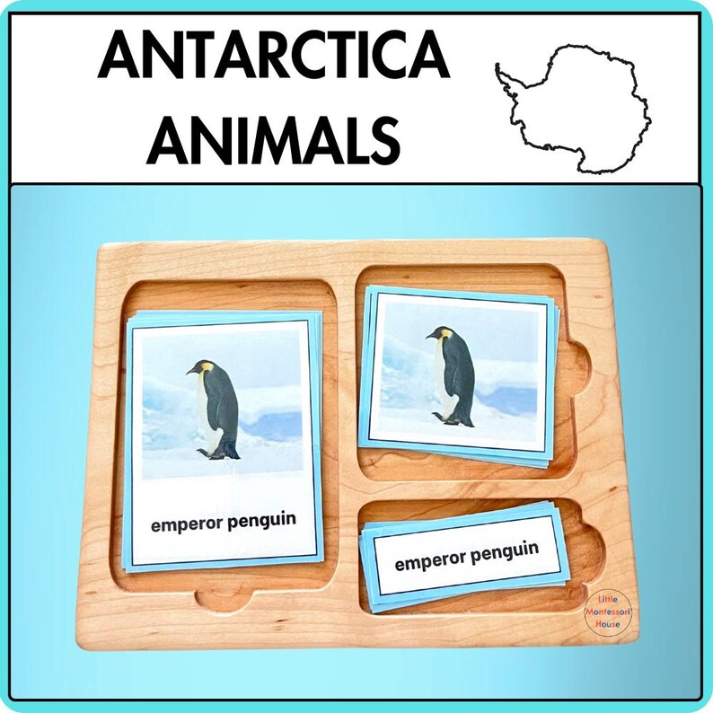 ANTARCTICA Animals 3 Part Cards Chart & Matching Set Geography ...