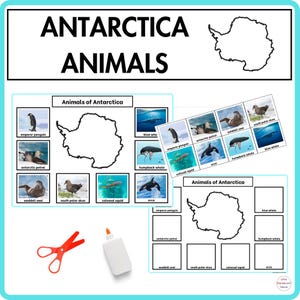 ANTARCTICA Animals 3 Part Cards Chart & Matching Set Geography ...