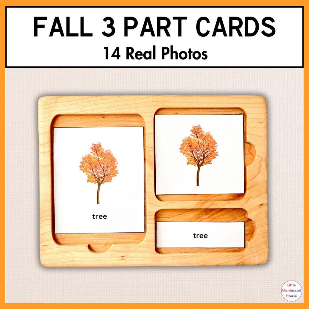 FALL Vocabulary Montessori 3-part Cards Primary Preschool Pre-k - Etsy