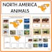 NORTH AMERICA Animals Montessori 3 Part Cards Geography Unit for ...