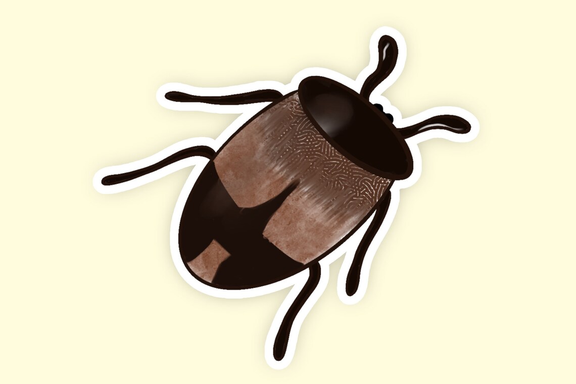 Beetle Cockroach Bug Sticker Bug Series Collection Stickers - Etsy