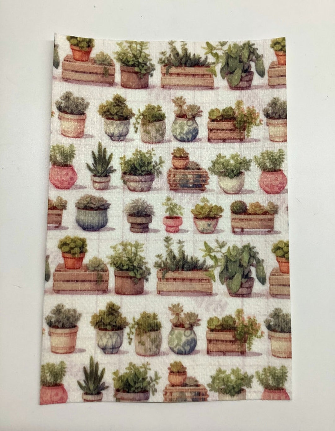 Succulents in Planters Tubie Tape for Feeding Tubes, Oxygen, Medical ...
