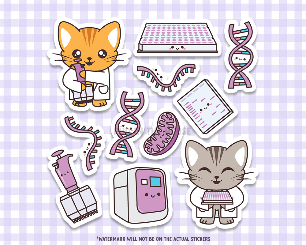Cute Rt-qpcr Vinyl Sticker Sheet RNA DNA Molecule Cell - Etsy