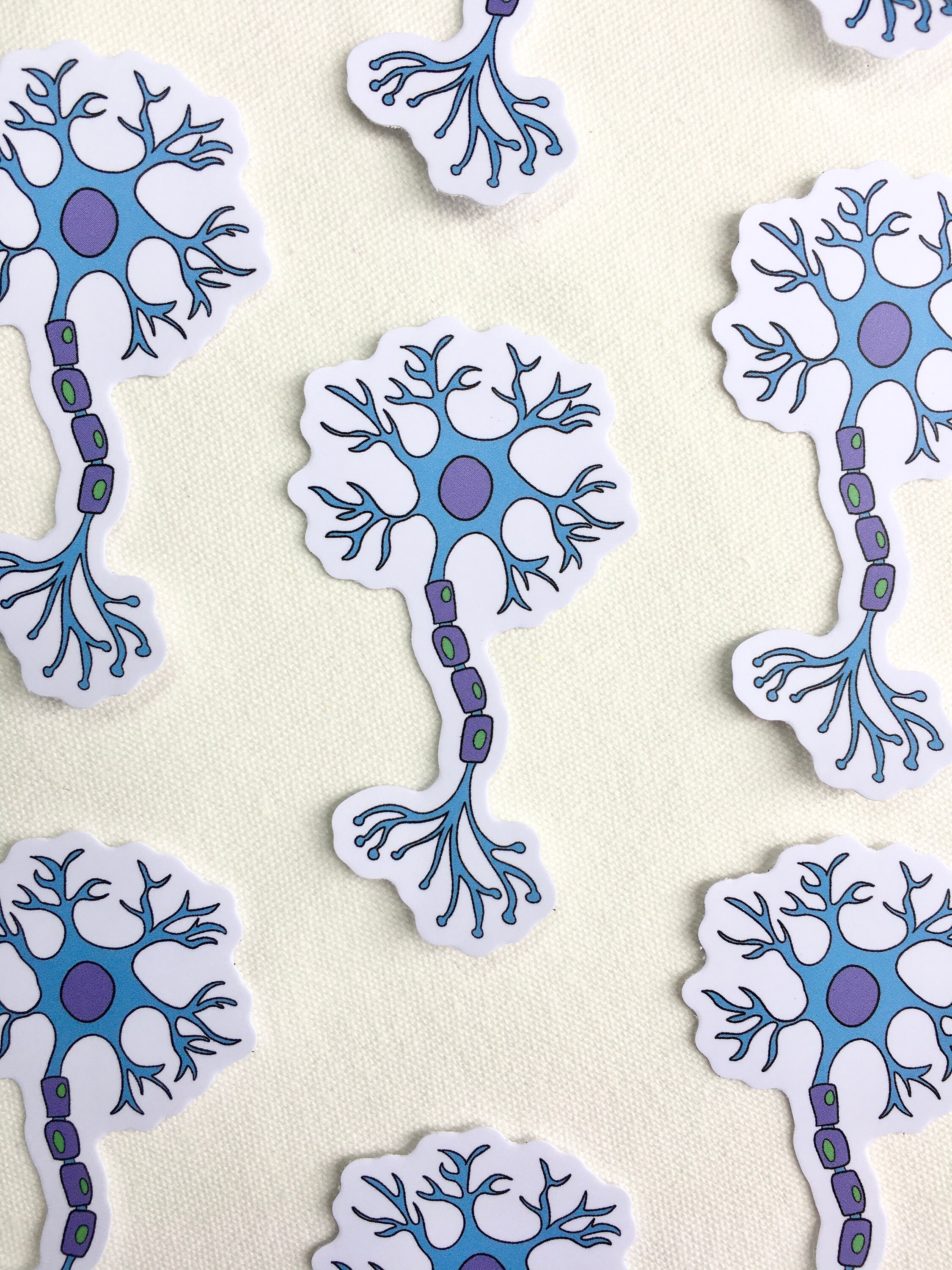 Neuroscience Stickers, Neuroscientist Gifts, Neuron, Human Anatomy ...