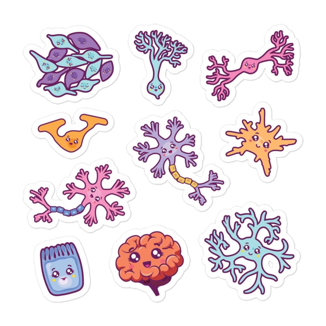Neuroscience Stickers, Brain, Anatomy, Neuron, Neurodiversity ...