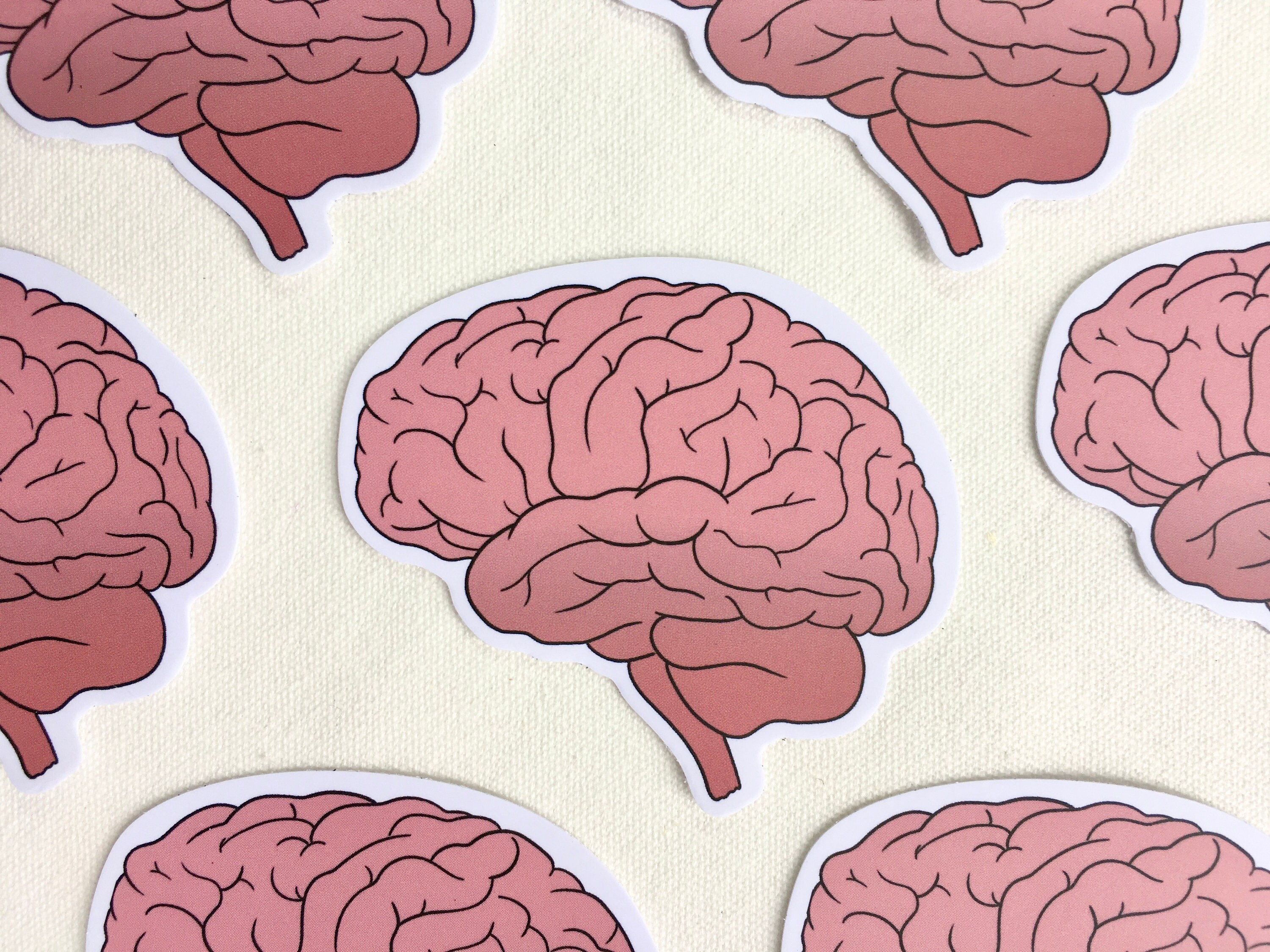 Neuroscience Stickers, Neuroscientist Gifts, Neuron, Human Anatomy ...