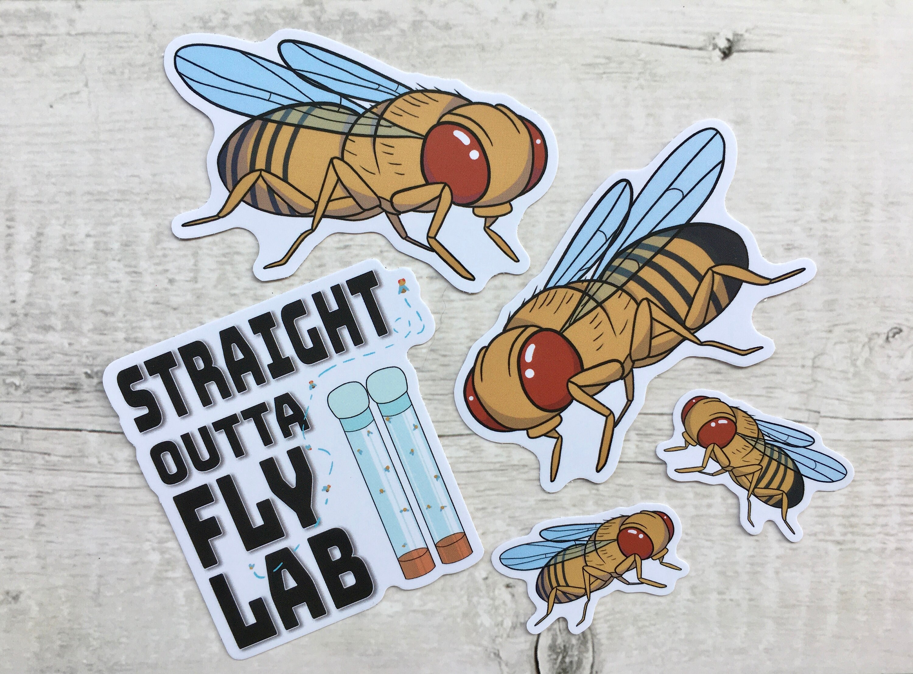 Drosophila Melanogaster Gift Set for Her, Drosophila Vinyl Stickers ...