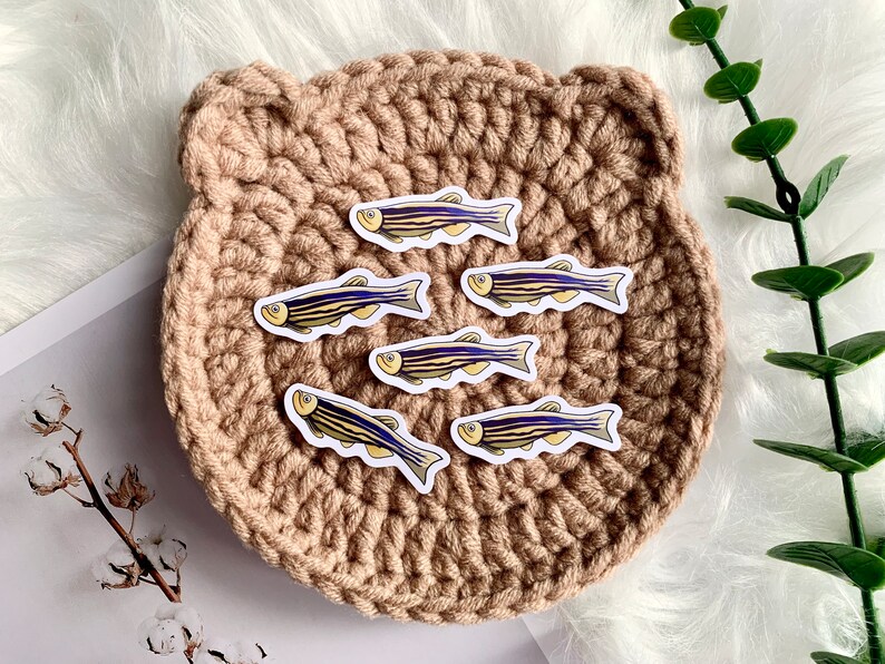 Zebrafish Pin and Sticker, Tropical Fish Lover, Cell Biologist ...