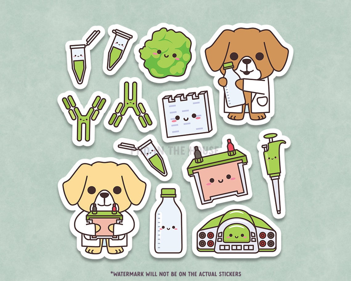 Cute Biochemistry Sticker Western Blot Labrador Retriever - Etsy