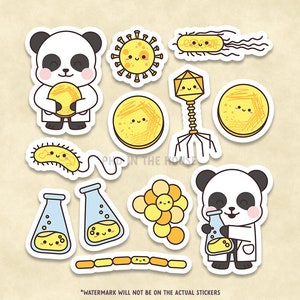 Cute Microbiology Stickers, Microbiologist Laptop Decal, Female ...