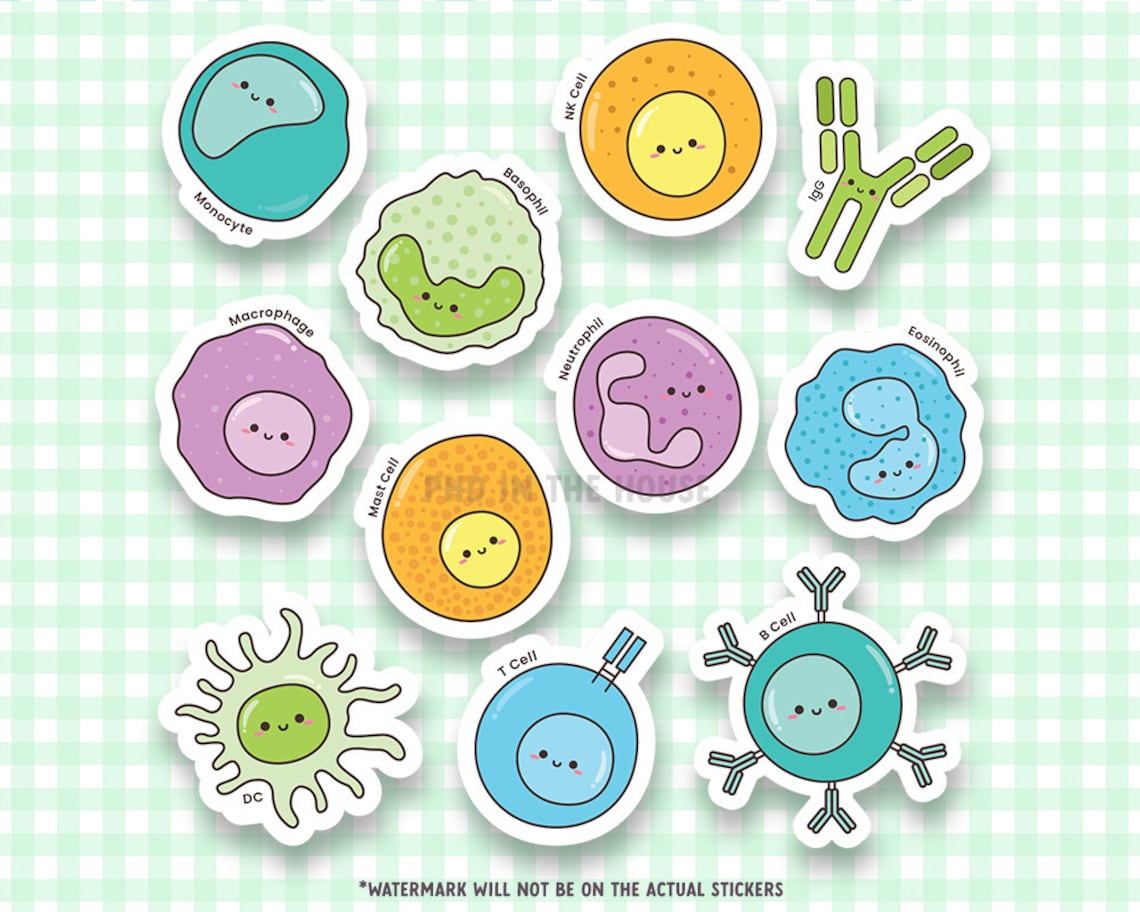 Immunology Sticker, Cell Biology, Research Lab Gift, Hematology, White ...
