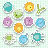 Bacteria Sticker - Etsy