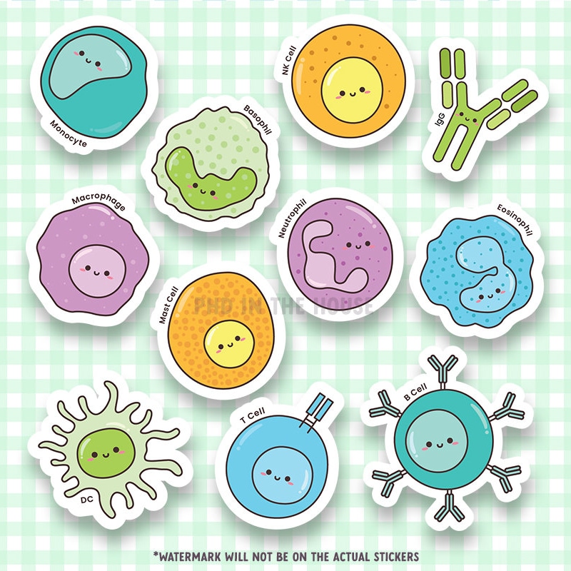 The 5 White Blood Cells - Etsy