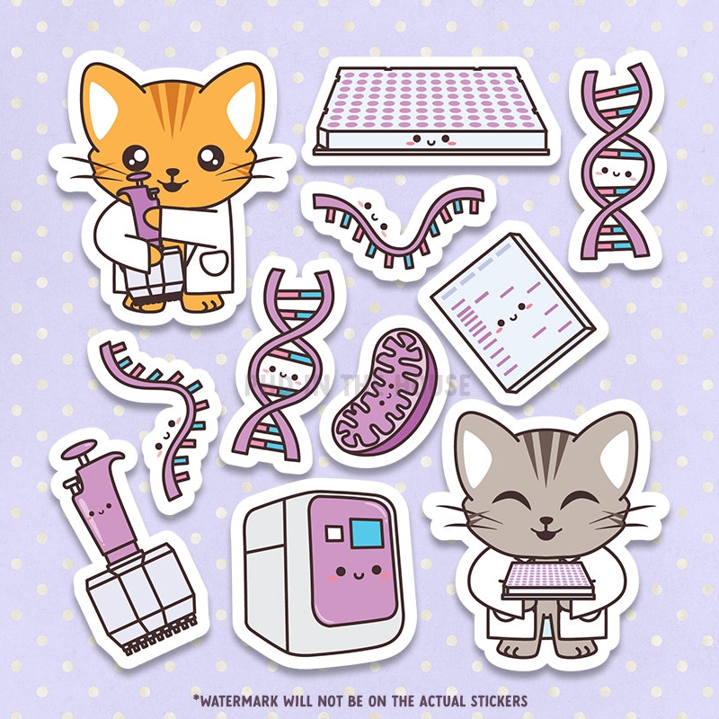 Cat Neuroscience - Etsy