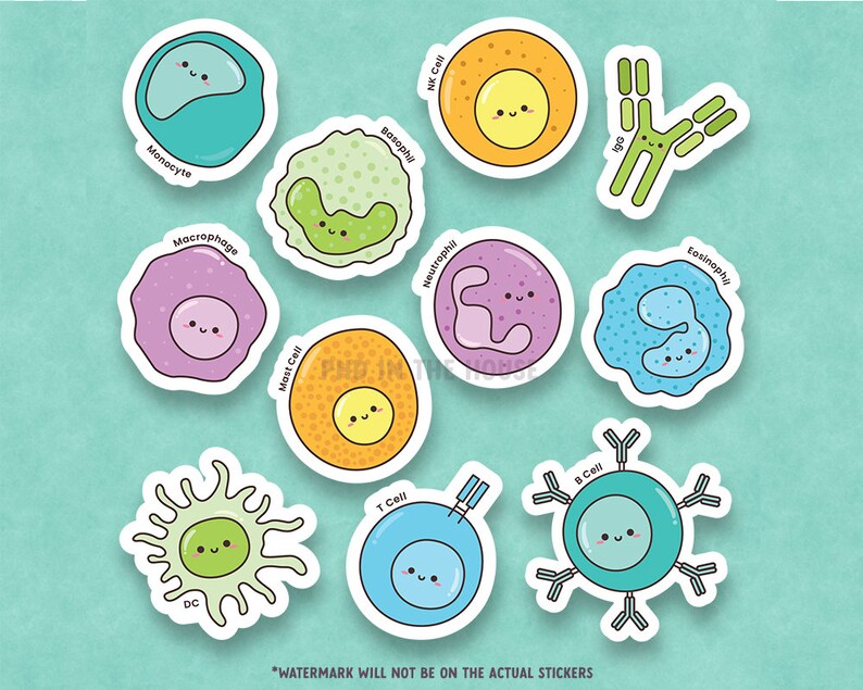 Immunology Sticker, Cell Biology, Research Lab Gift, Hematology, White ...