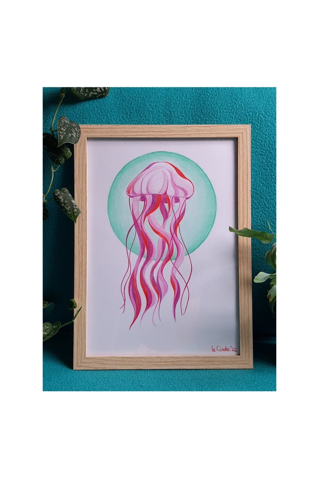 Ocean Art Nature Illustration Jellyfish Decoration Nautical - Etsy