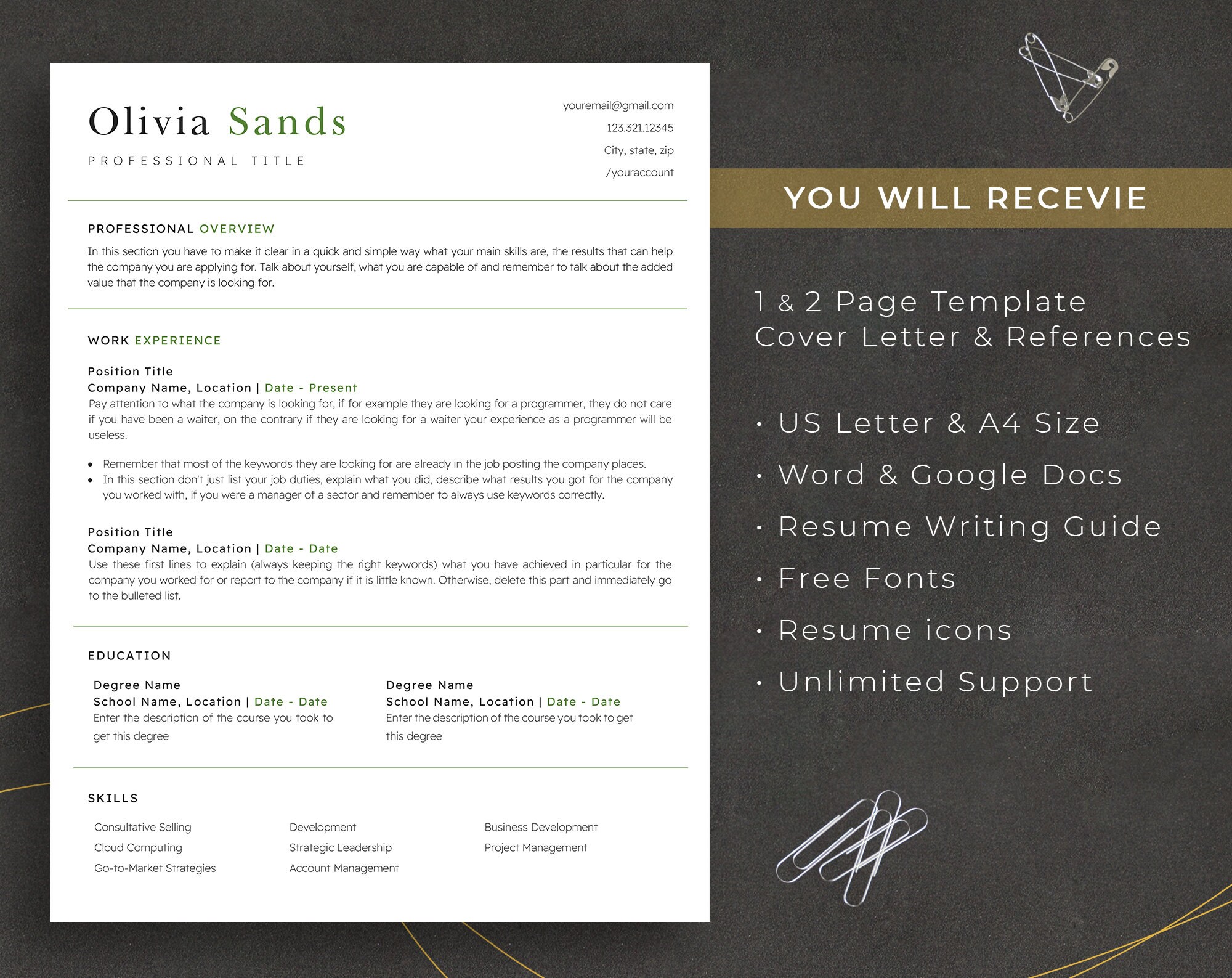2023 ATS Resume Template for Word & Google Docs • Software Tracking ...