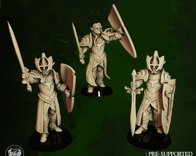 High Elf Prince - 3 Poses - High Elves Vs. Dwarfs - Unpainted ...
