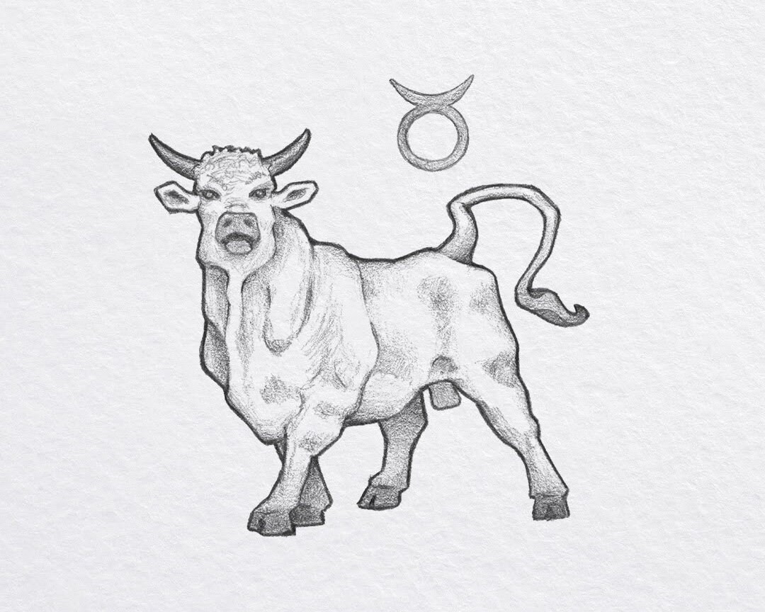 Taurus Zodiac Art Original Art Pencil Drawing 4x4 Inches - Etsy