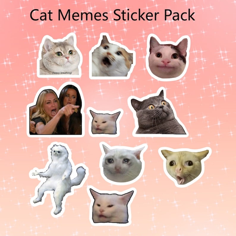 Cat Memes Sticker Pack Funny Cat Meme Vinyl Stickers | Etsy