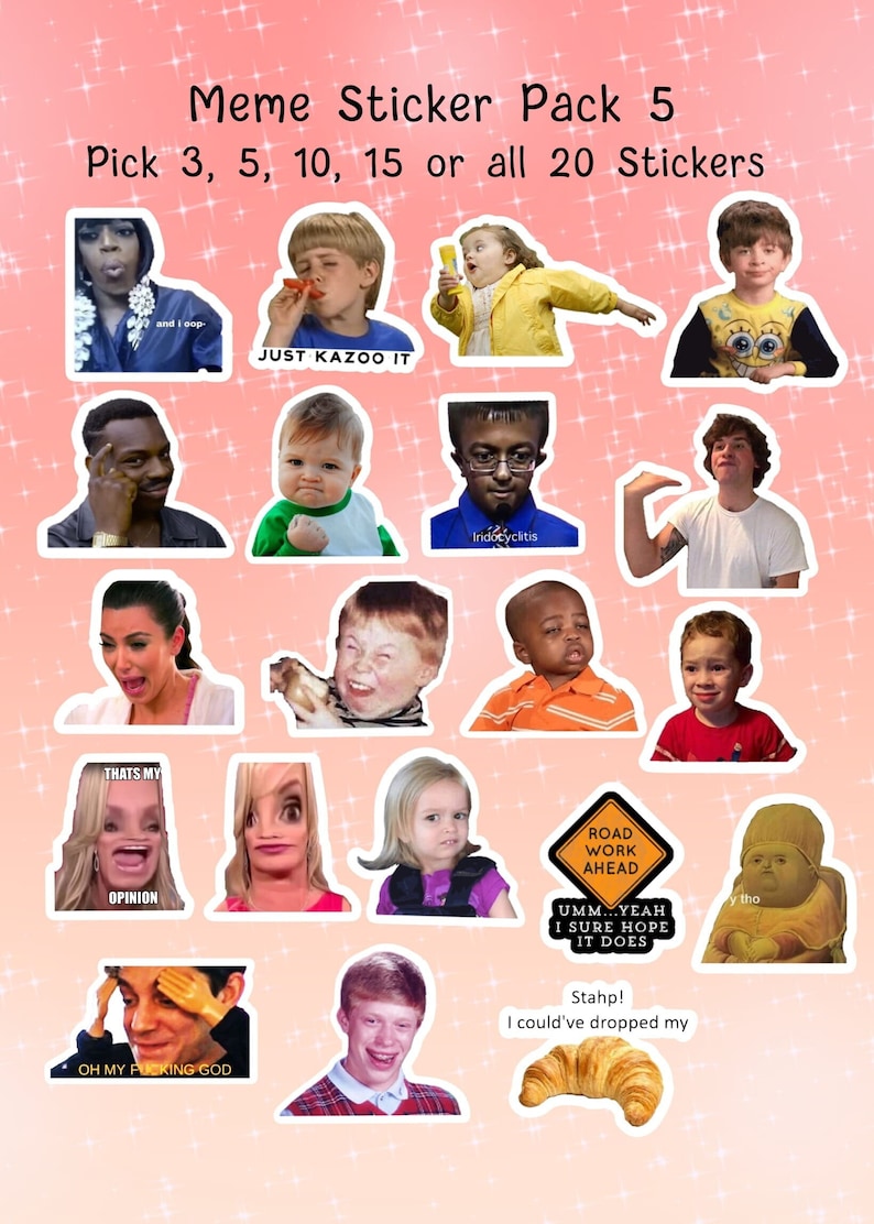 Meme Sticker Pack 5 20 Stickers Funny Memes Vine / | Etsy