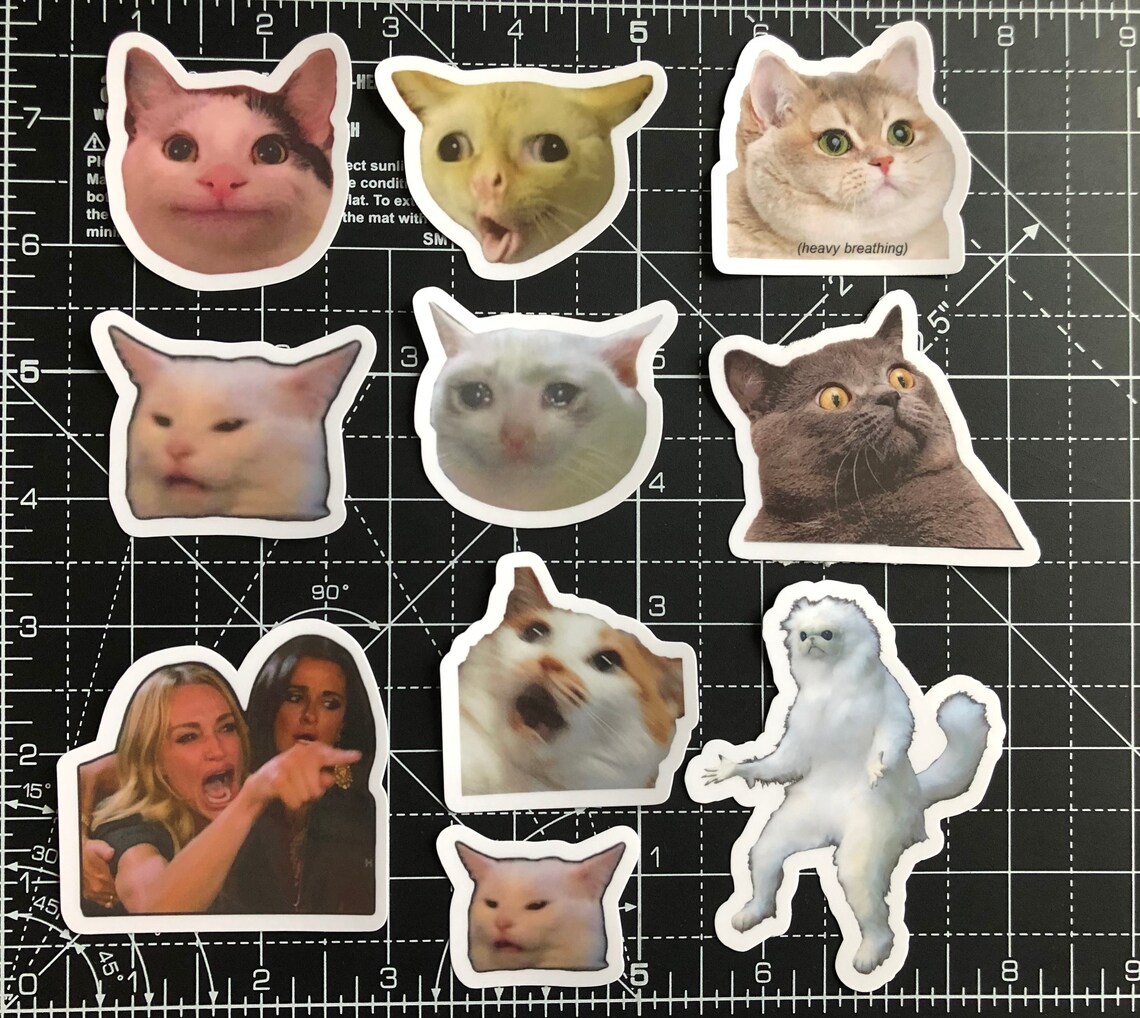 Cat Memes Sticker Pack Funny Cat Meme Vinyl Stickers | Etsy