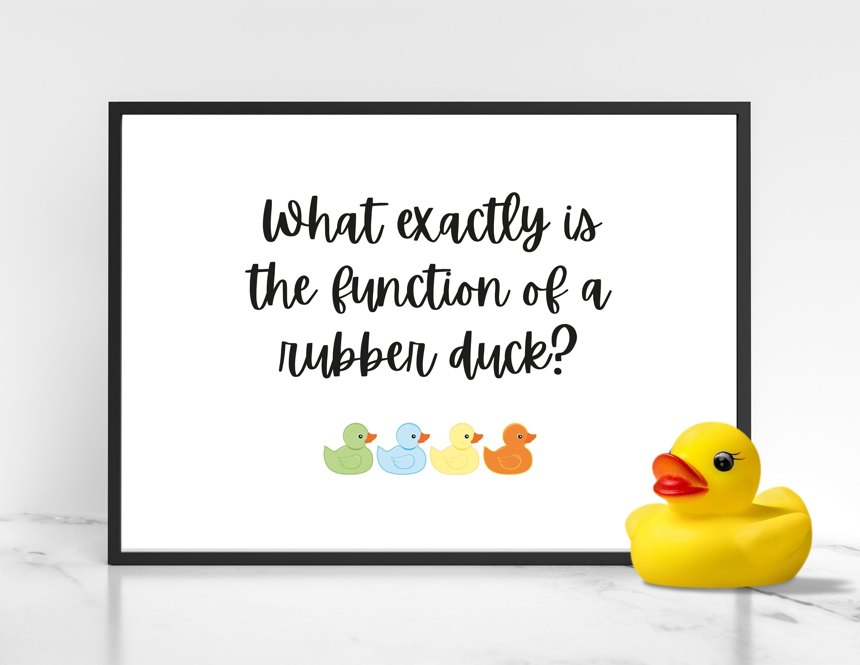 Bathroom Poster Quote - What Exactly is the Function of a Rubber Duck ...