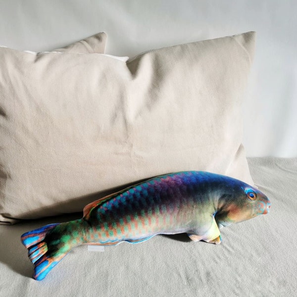 Parrot Fish - Etsy