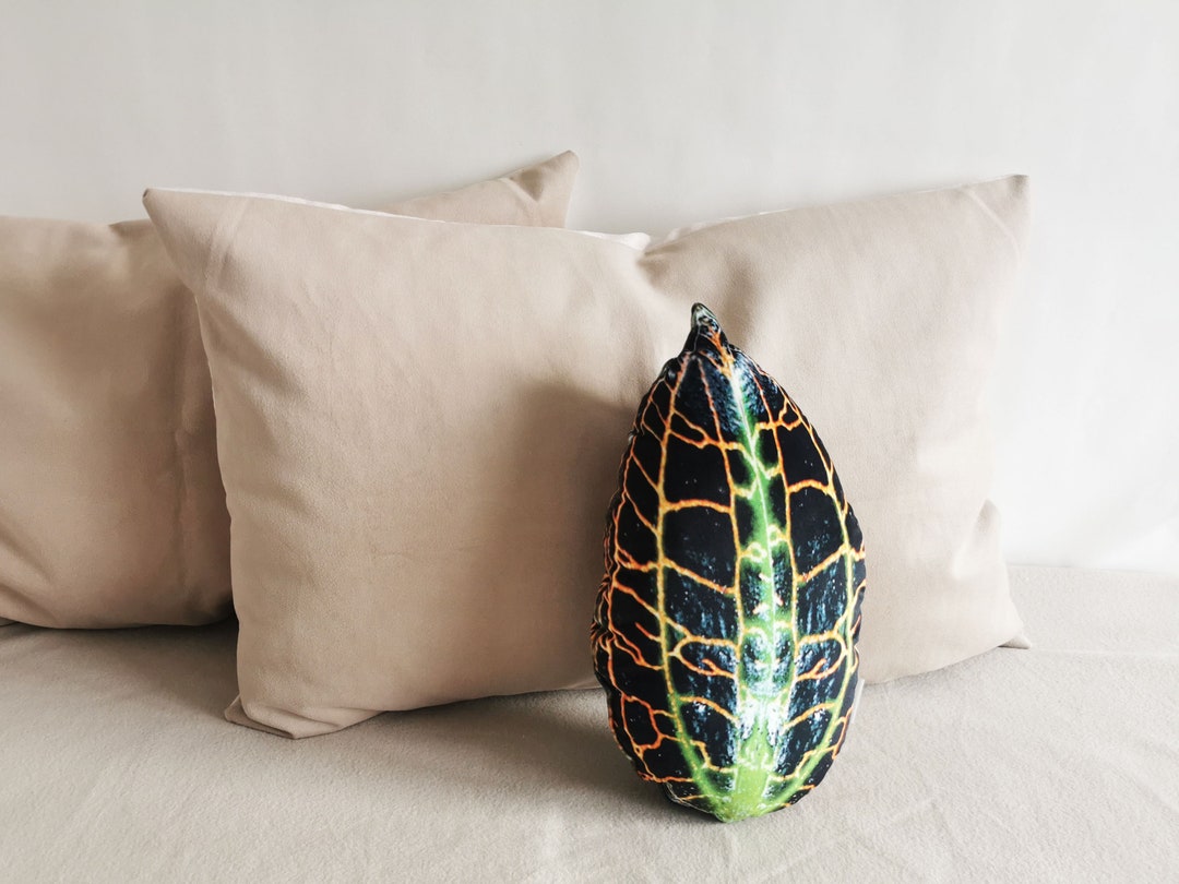 Rare Plant Jewel Orchid Pillow for Botanical Home Decor. Housewarming ...