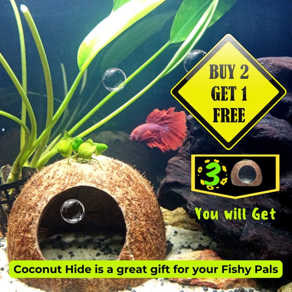 Aquarium Cave - Etsy