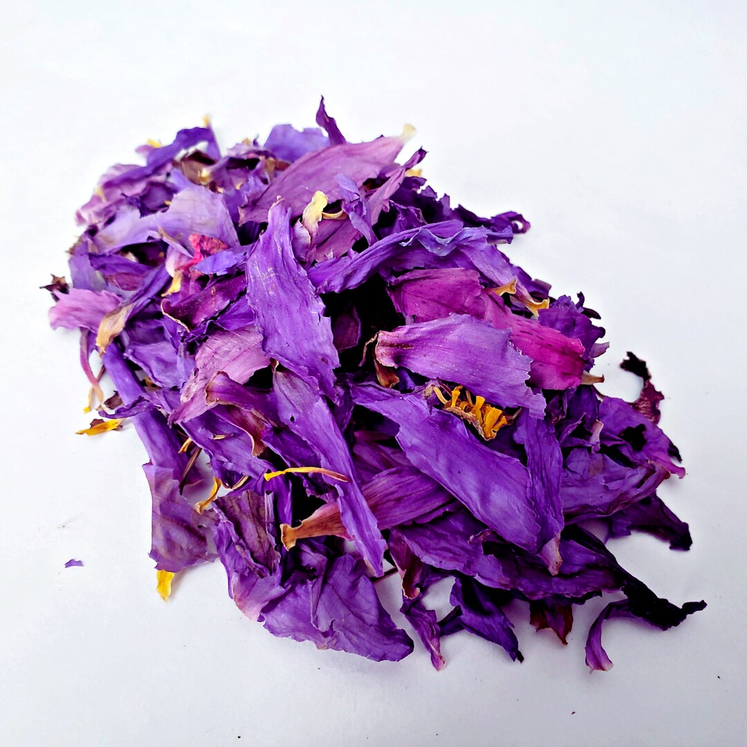 PRE-GROUND 100% Organic Egyptian Blue Lotus Petals & Stems • Nymphaea ...