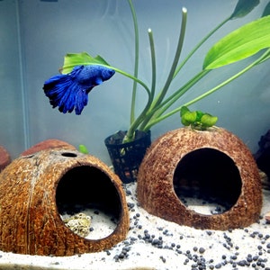 Large Aquarium Cave Coconut Shell Cave, Hide, Coconut Shell Dome, Pleco ...