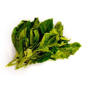 1000 Dried Noni Leaves Ahu Morinda Citrifolia Natural Organic Herbal ...