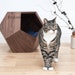 Modern Walnut Tree Veneered Mdf Cat Bed Cat Cave Premium - Etsy
