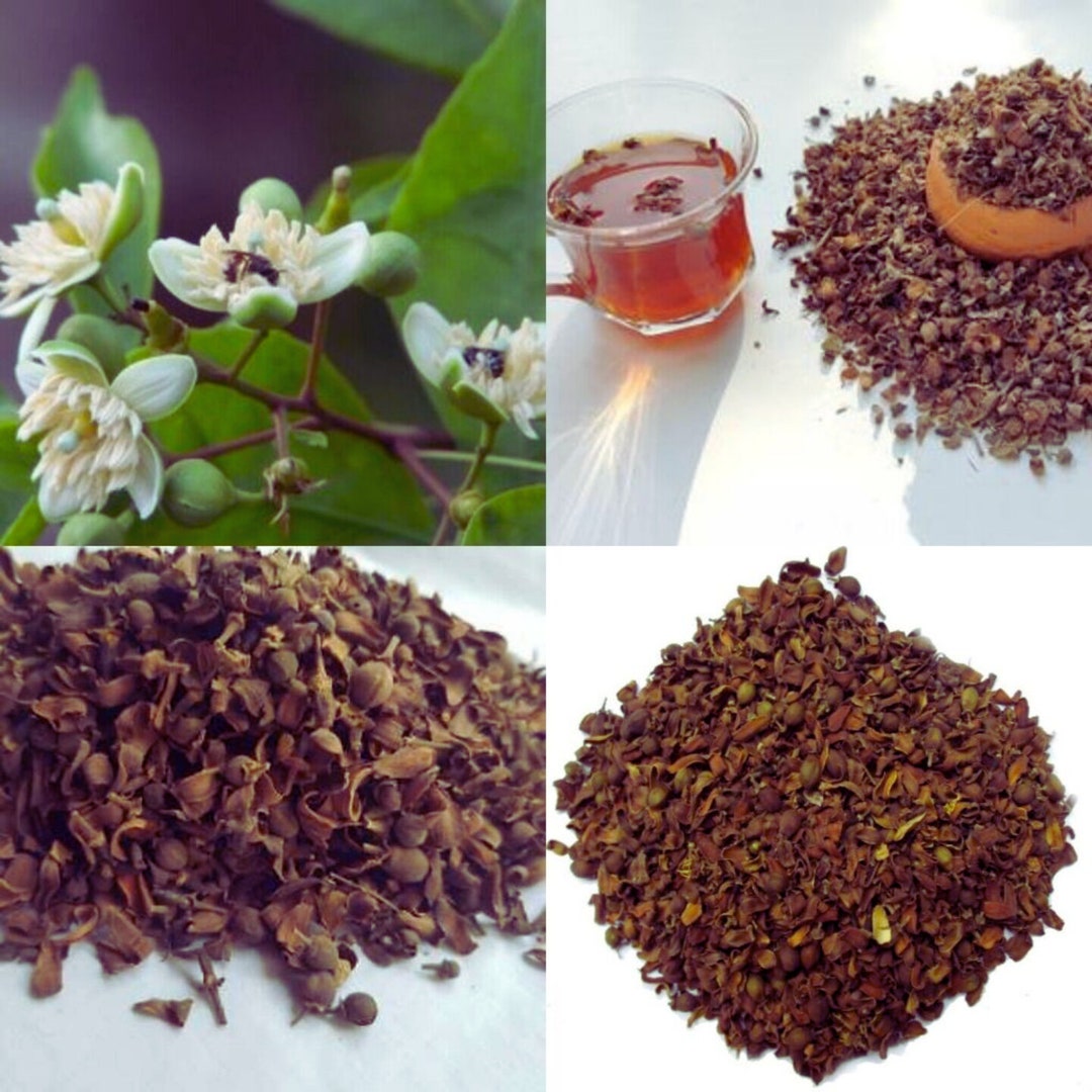 Bael Flower Dried Tea - Aegle Marmelos Herbal Infusion for Relaxation ...